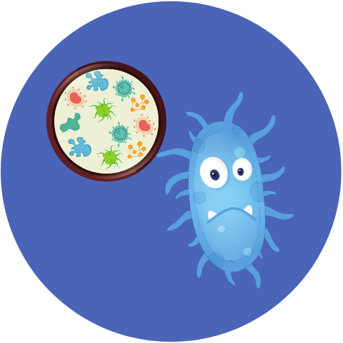 Dia Mundial de la Inocuidad Alimentaria – 7 junio -2021 : Servicio de ...