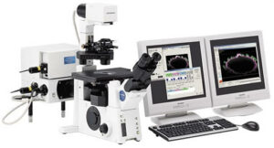 Microscopio confocal Olympus FV1000 : Oferta de Servicios Tecnológicos
